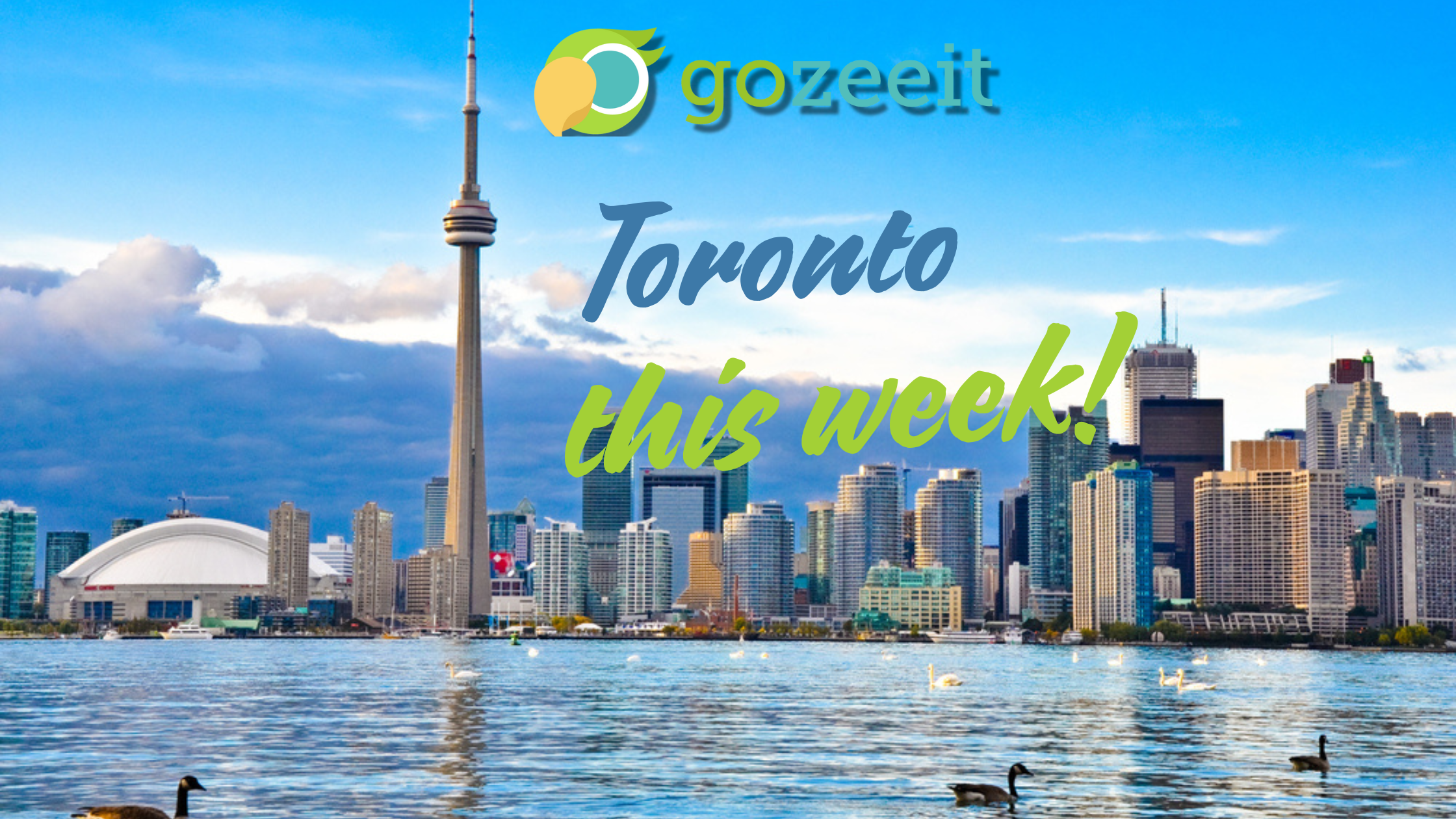 Toronto Vibes: Events to Check Out This Week (5-11 May 2025) – Gozeeit